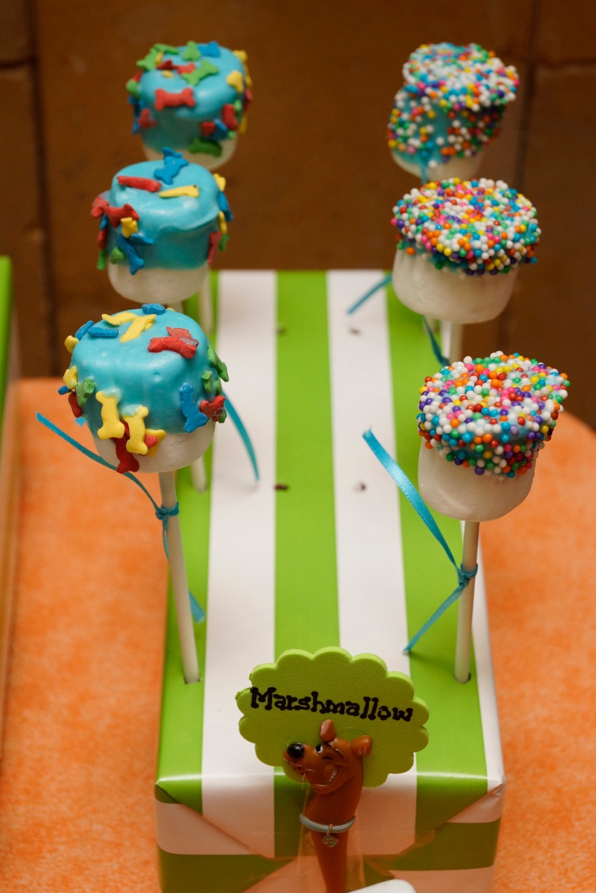 The Carnavals: Scooby Doo Party