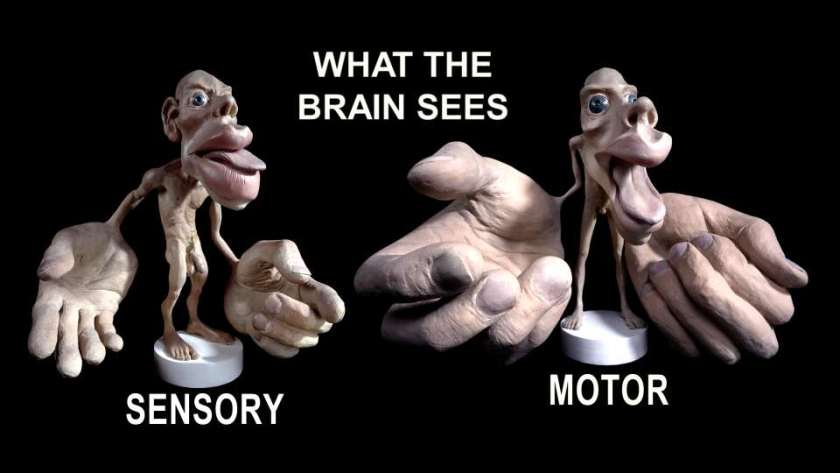 BIOLOGY AND GEOLOGY 3º ESO. IES Complutense: NEW INSTRUCTIONS. PRACTICE ...