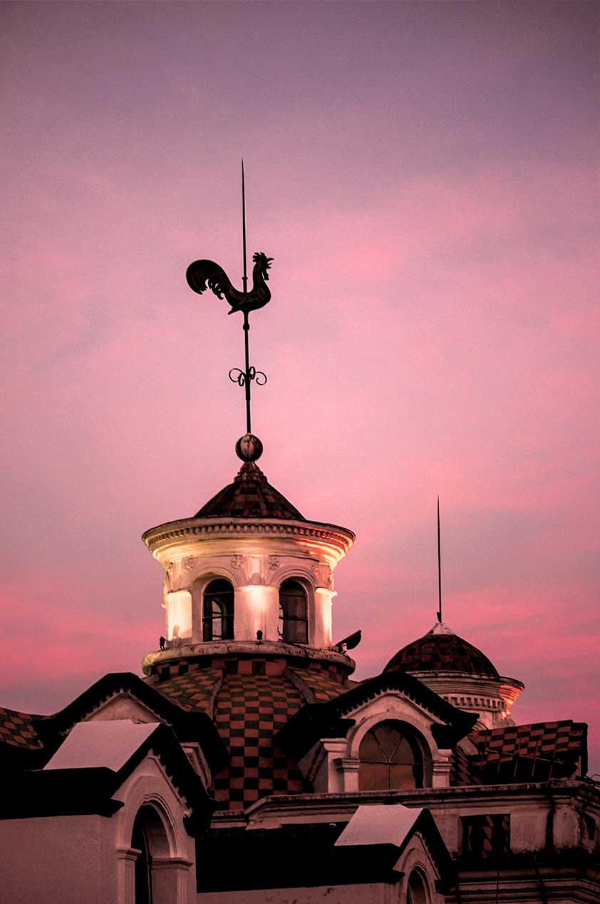 Impact news: El Gallo de la Catedral