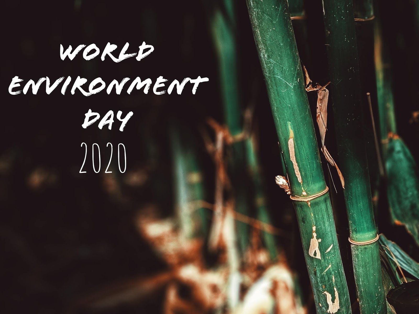 pixel caption: 50+ world environment day 2020 image free download ...