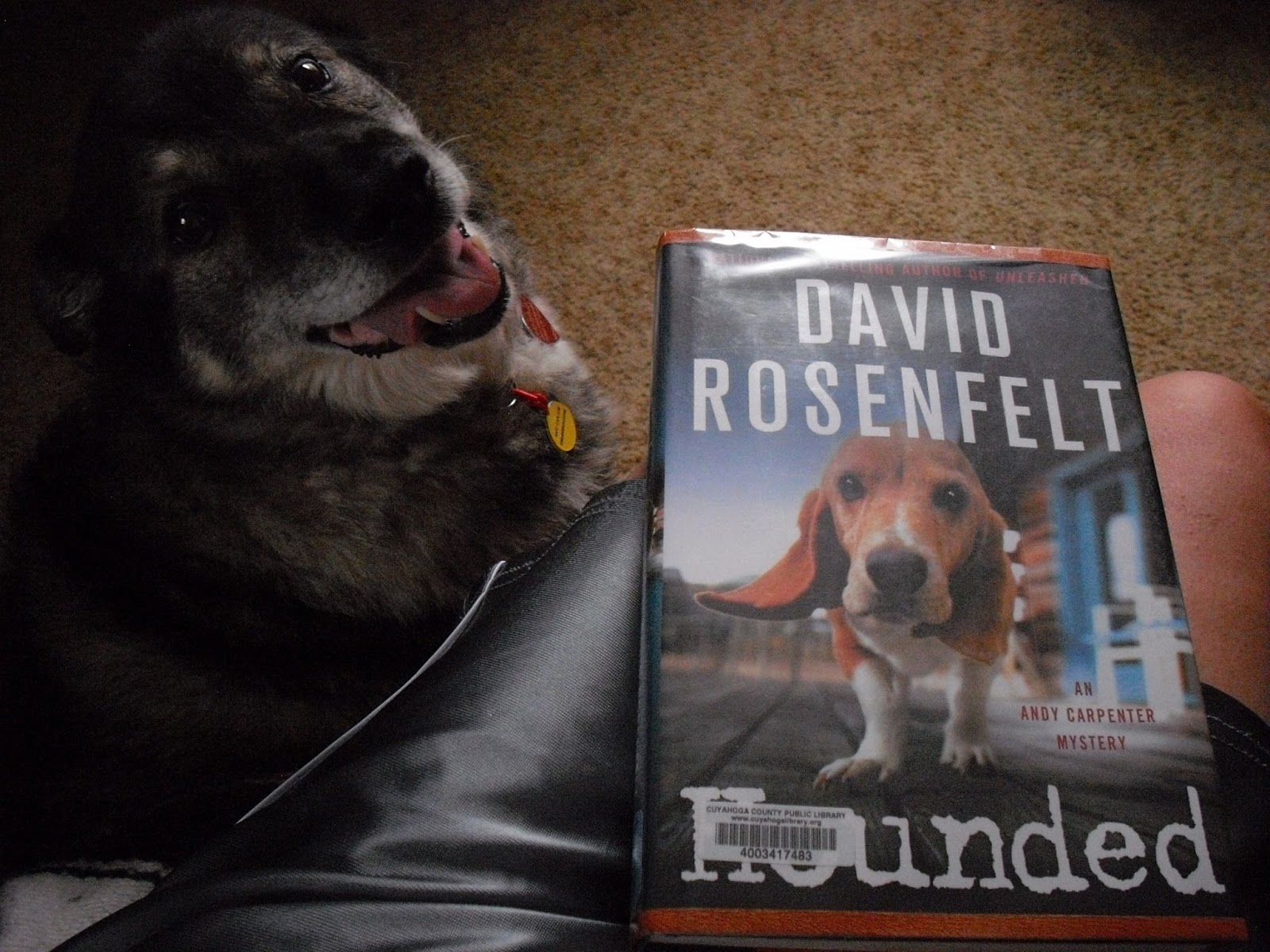 Grab A Book From Our Stack: "Hounded" by David Rosenfelt