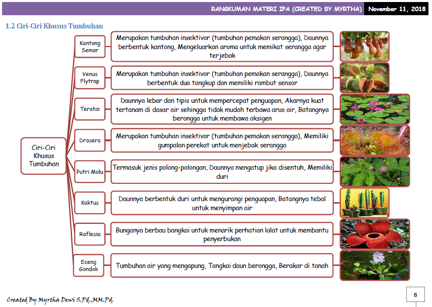 Blog Ayo Belajar Bersama: Adaptasi Tumbuhan