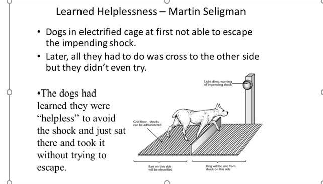 LEARNED HELPLESSNESS