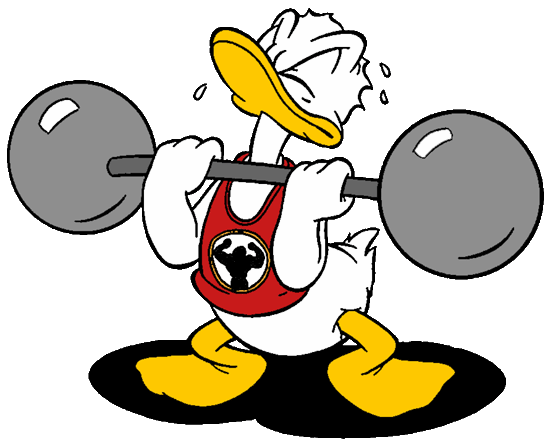 Fitness Pollenator: Top 17 Fitness Professionals to Watch in 2017