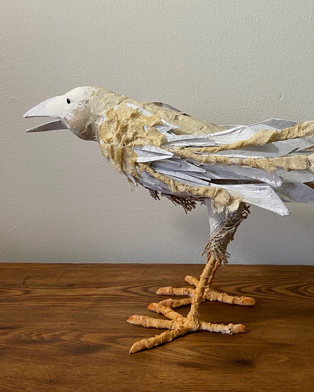 Woodstown Whimsies: Raven (Raving?) Musings...