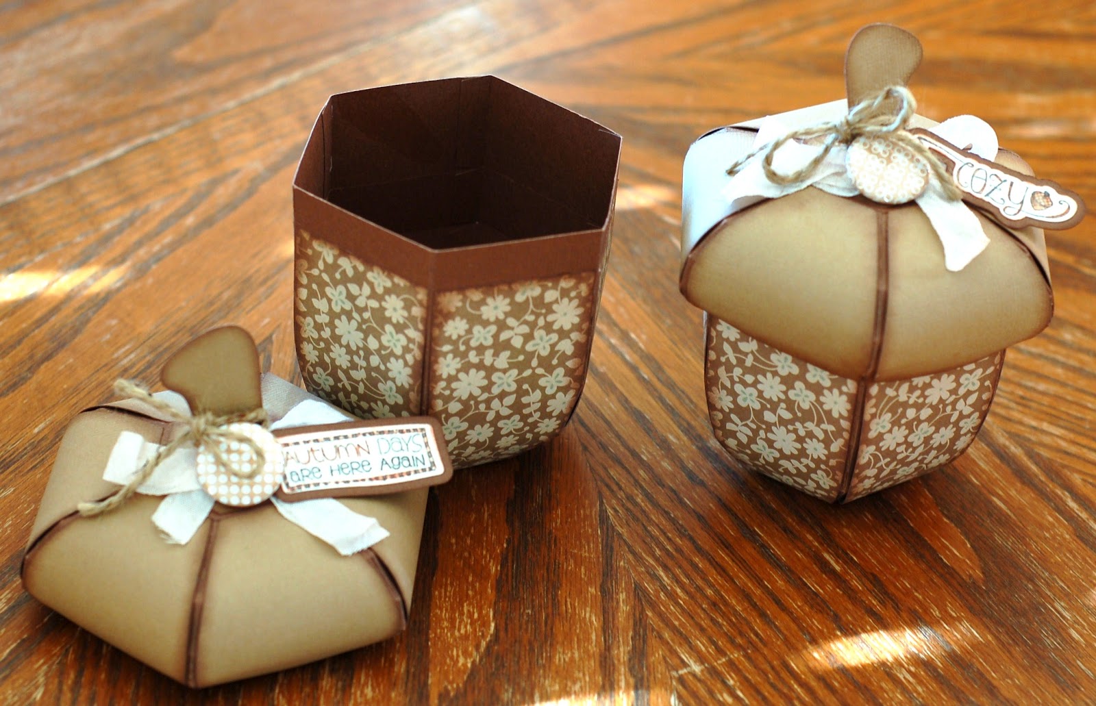 Paper Creations by Kristin: 3D Acorn box