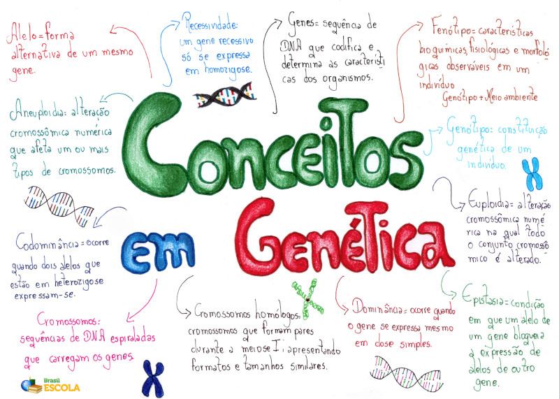 Resumo: Conceitos básicos da Genética | Bio Nota 10 Resumo: Conceitos básicos da Genética | Bio Nota 10
