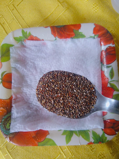 Brote o germinado de Semillas de chia