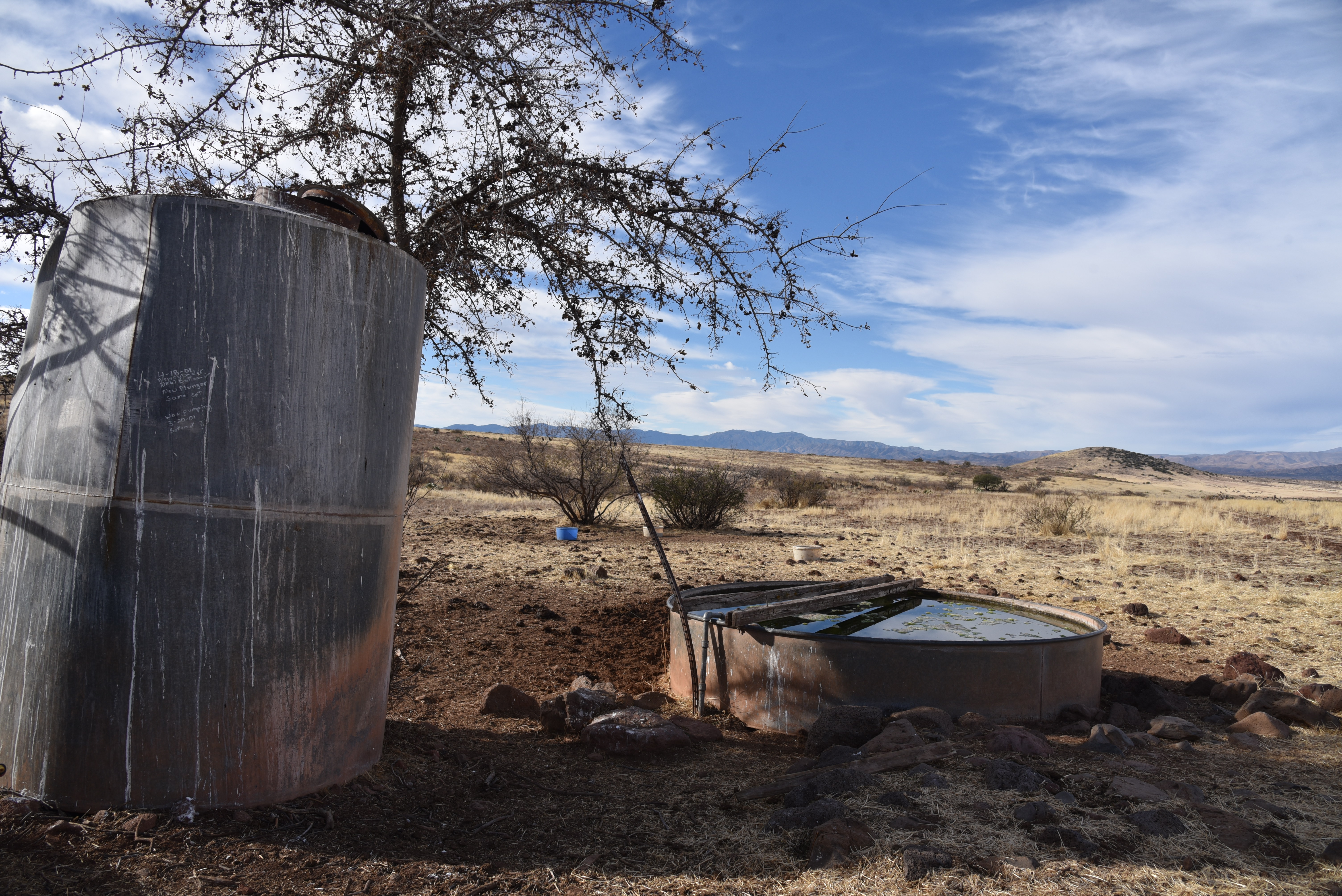 Arizona Hiking: Heifer Pasture