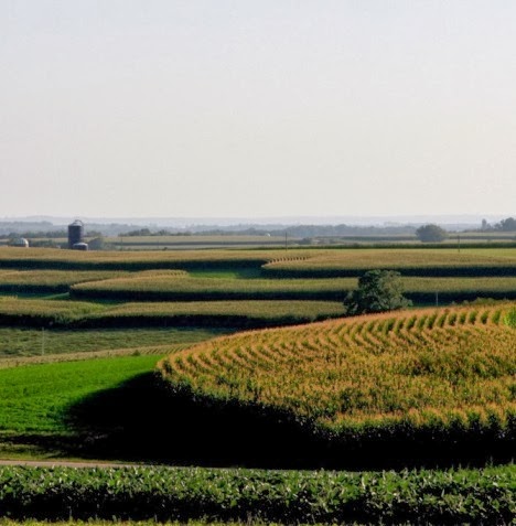 Corn Agronomy: 2013 WISCONSIN CORN HYBRID PERFORMANCE TRIALS: Grain ...