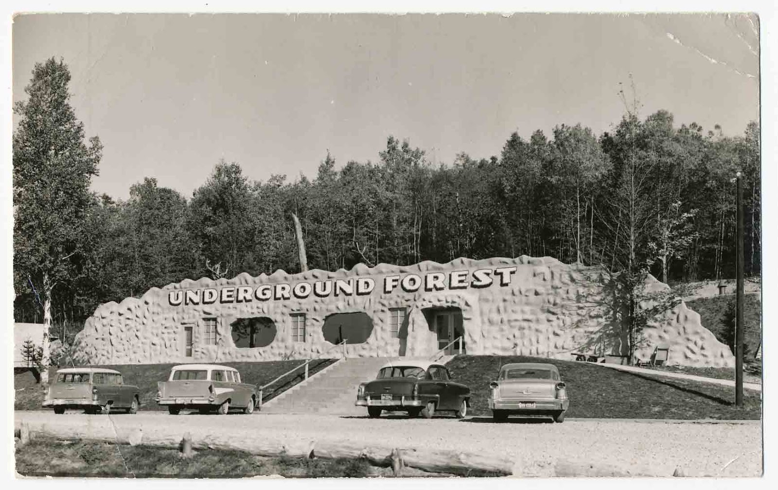 Roadside America - Great Old Cars: Underground Forest Wildlife and ...