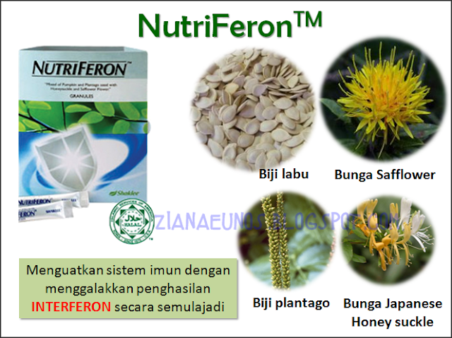 Keistimewaan dan Kebaikan NutriFeron Shaklee (Interferon semulajadi)