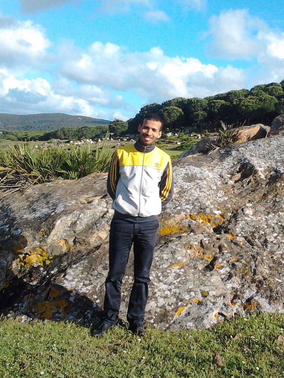 إصدارات برنامج الـ ODIN + ملفات pit و ops ~ خطوة