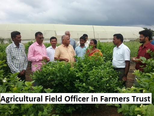 Agricultural Field Officer in Farmers Trust - Daily Govt Jobs, Walkins
