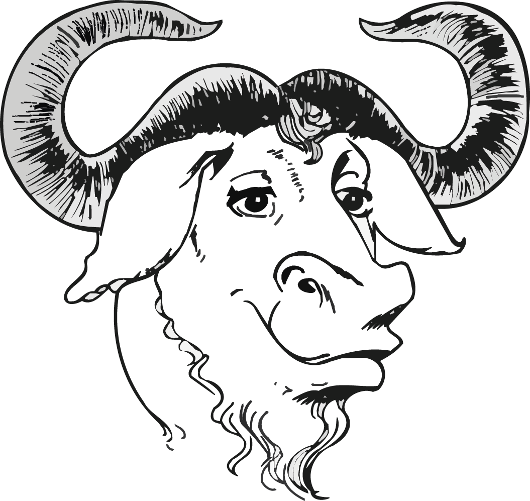 Richard Stallman and Linux