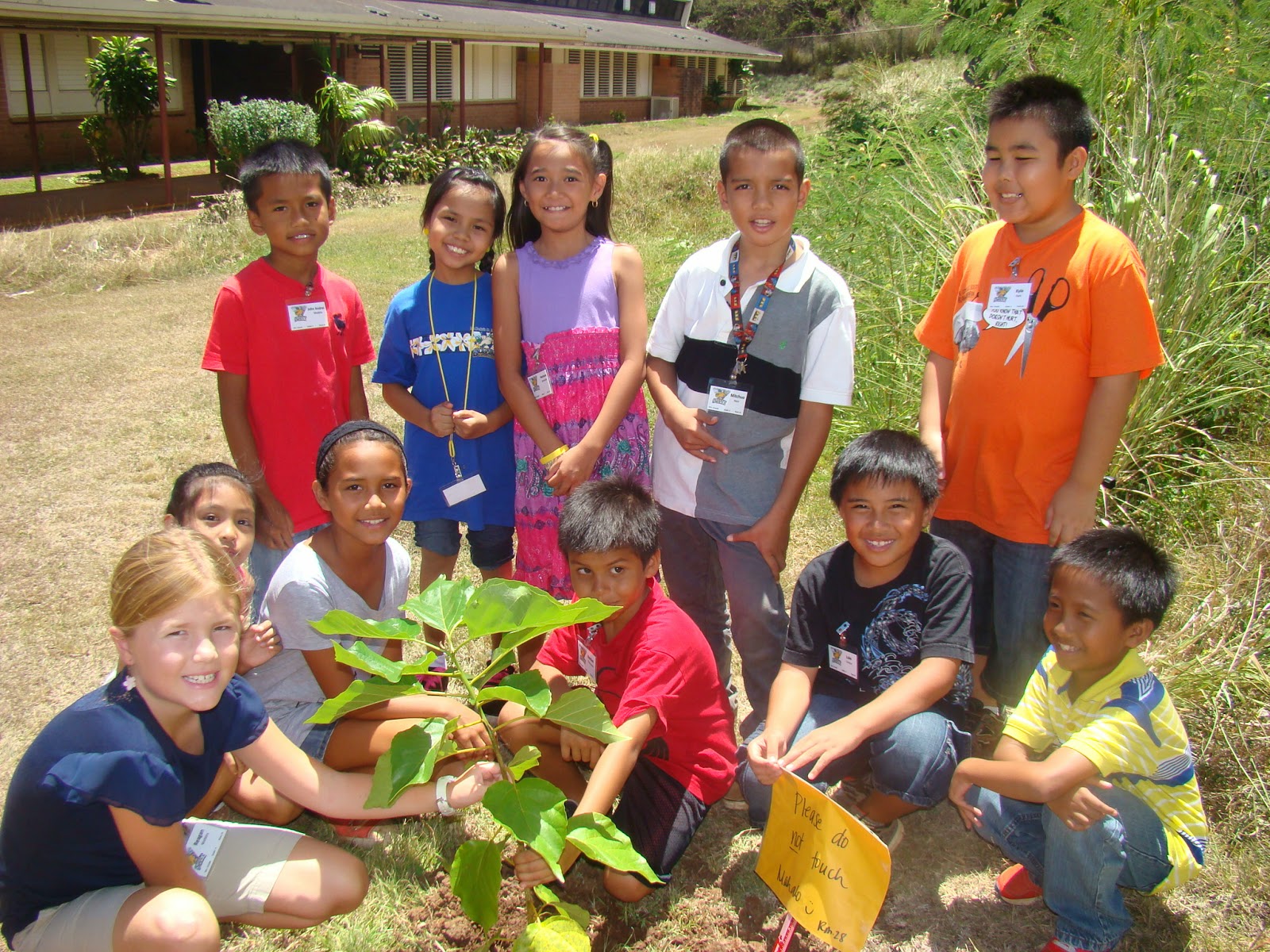 Room 8 `Ohana: Planting our Kou trees...