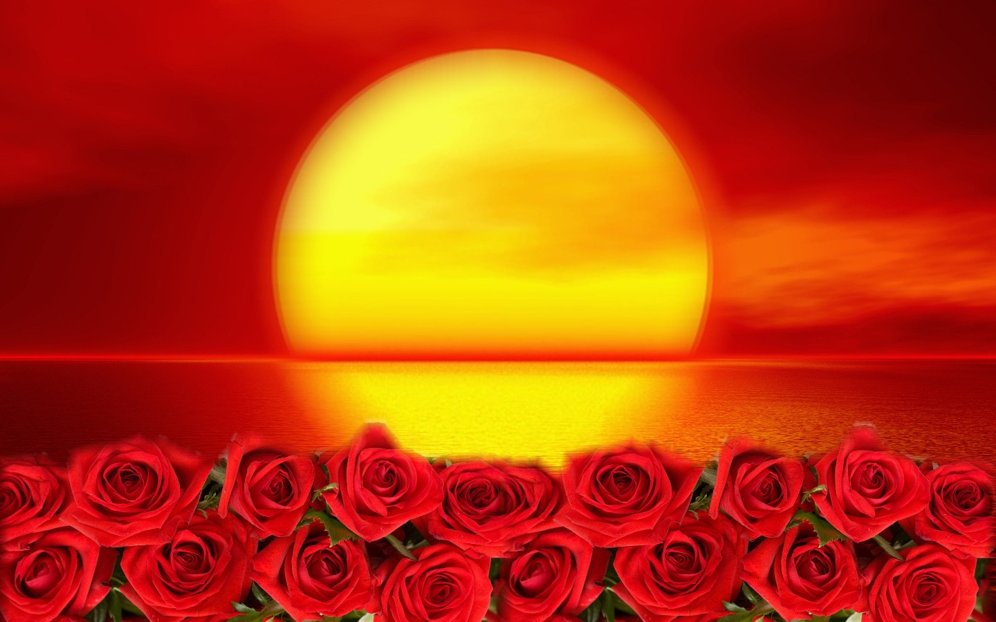 Jardimhabitado: Mar de Rosas Florido