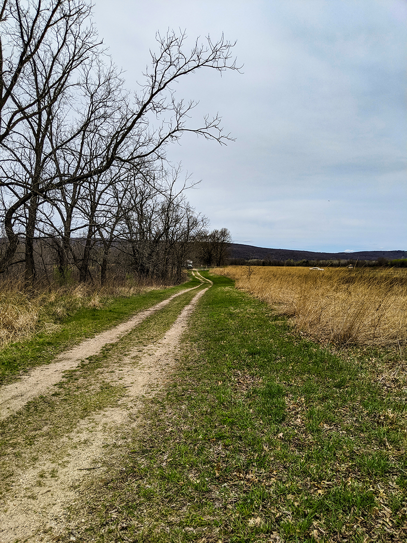 Hiking the Merrrimac Preserve Trails