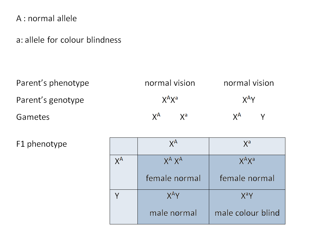 132 Genetic Diagrams Biology Notes For A Level