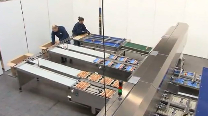 เครื่องคัดแยกไข่เพื่อบรรจุลงแผงของ Moba Prima 2000 egg grading machine ...