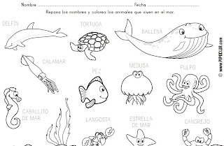 Spanish Home Lessons: Ocean Animals (Animales del Océano)