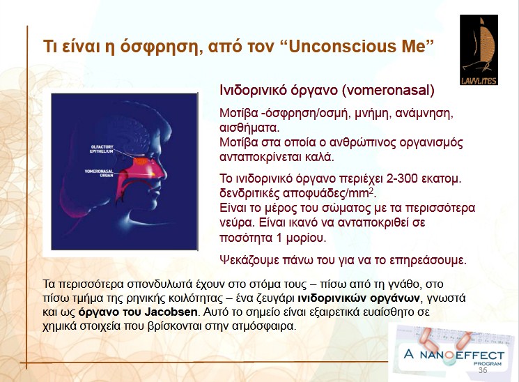 Πληροφοριες Επικοινωνιας