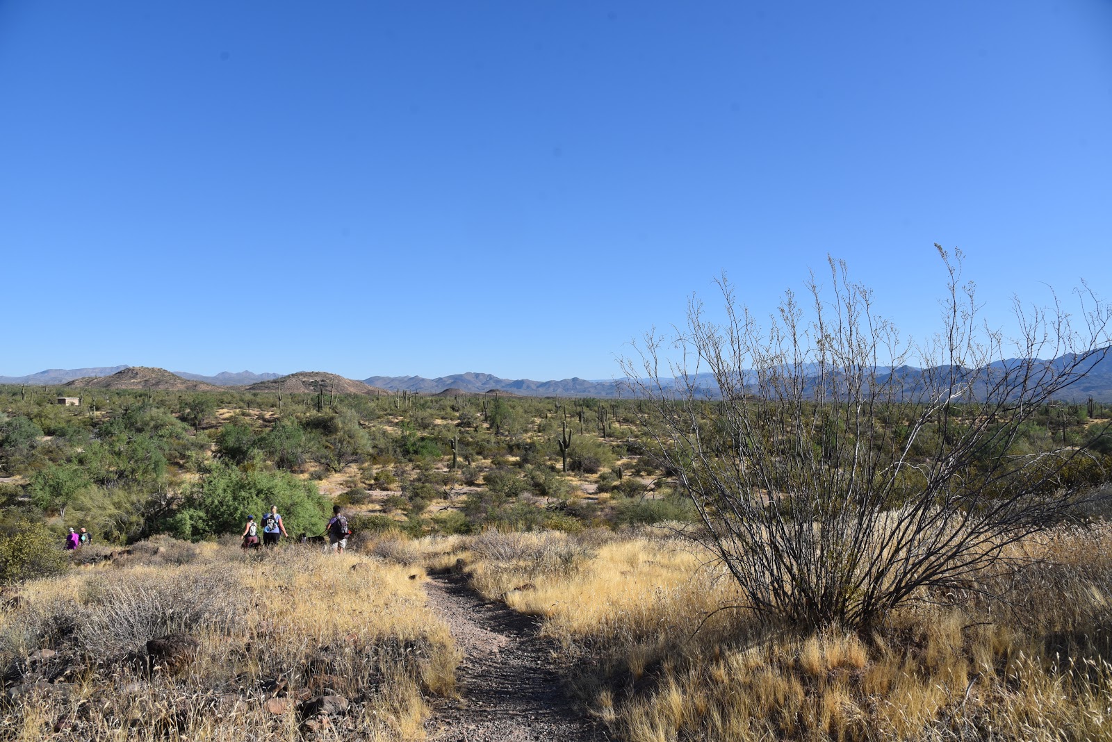 Arizona Hiking: Lousley Hill Trail
