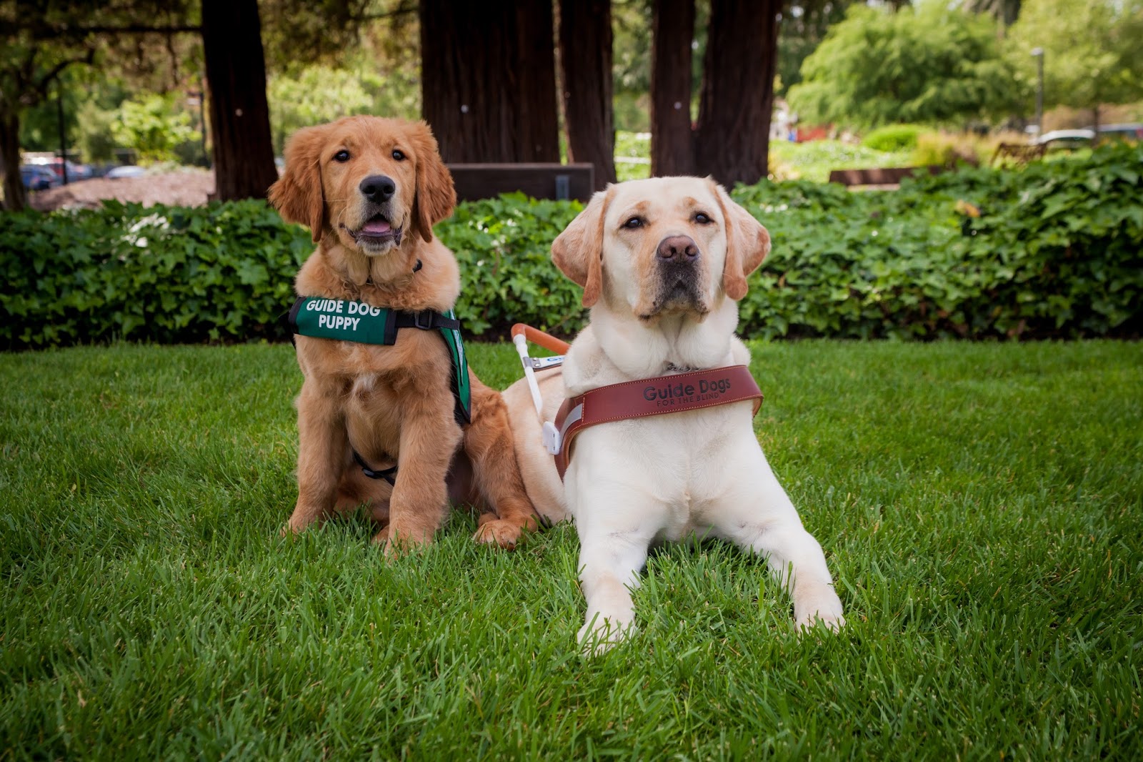 Top Notch Material: I Need Your Help: Spread Awareness About National ...