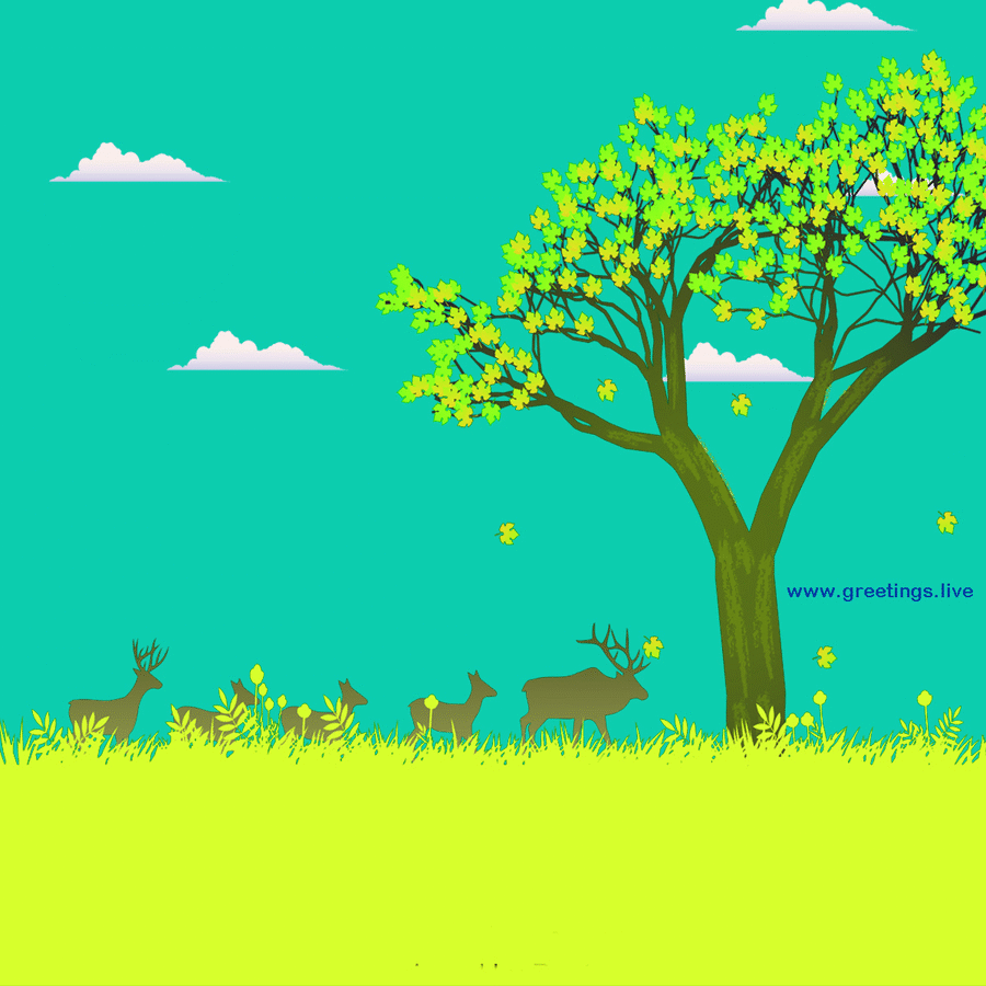 Animated Tree Gif