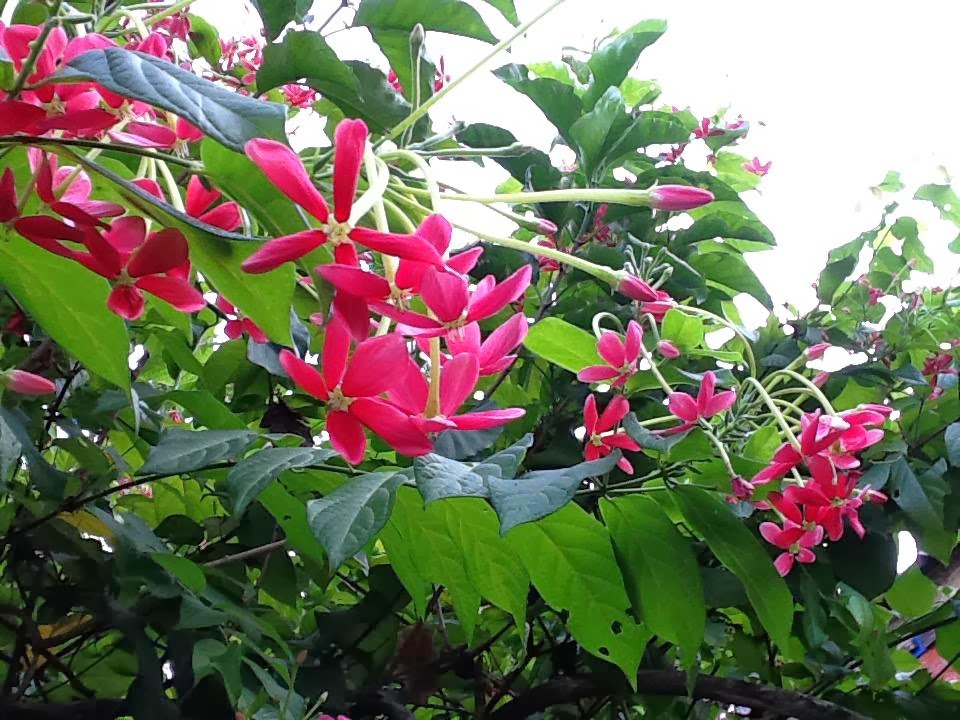 Sedang Sedang: February 2014