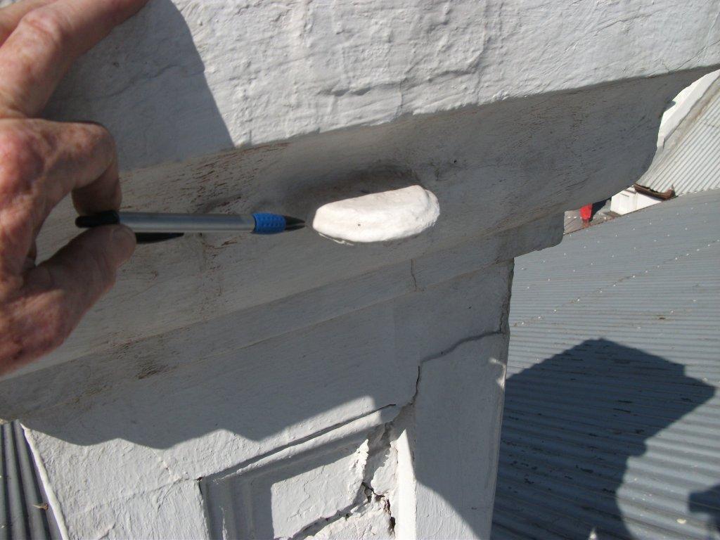 Ditsong Kruger Museum