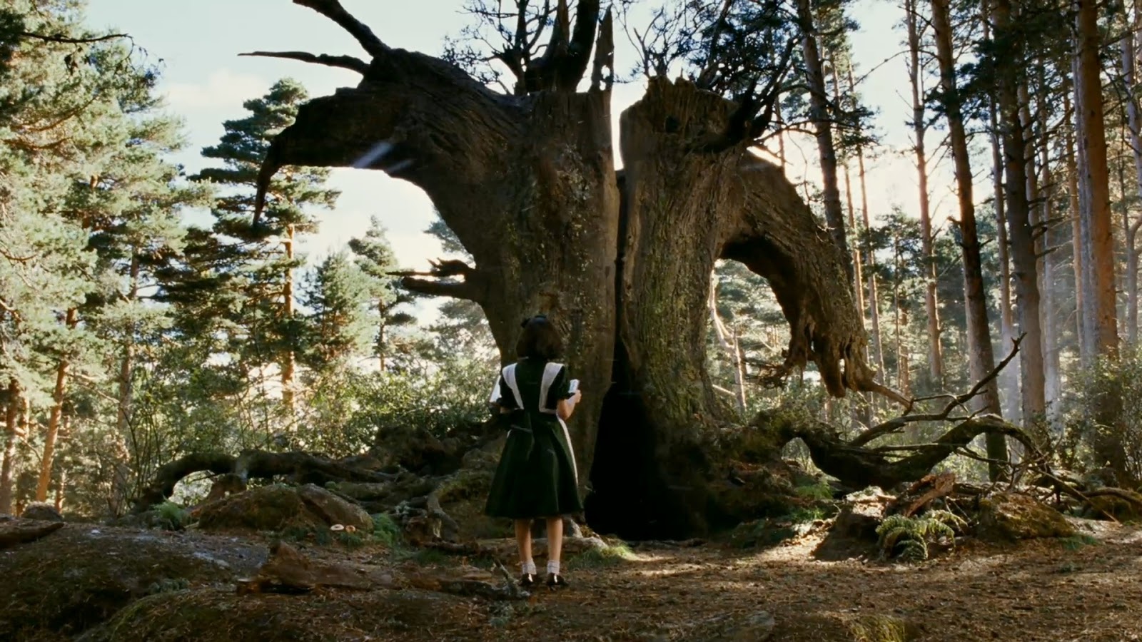 Pan's Labyrinth and City of God: Key Scenes