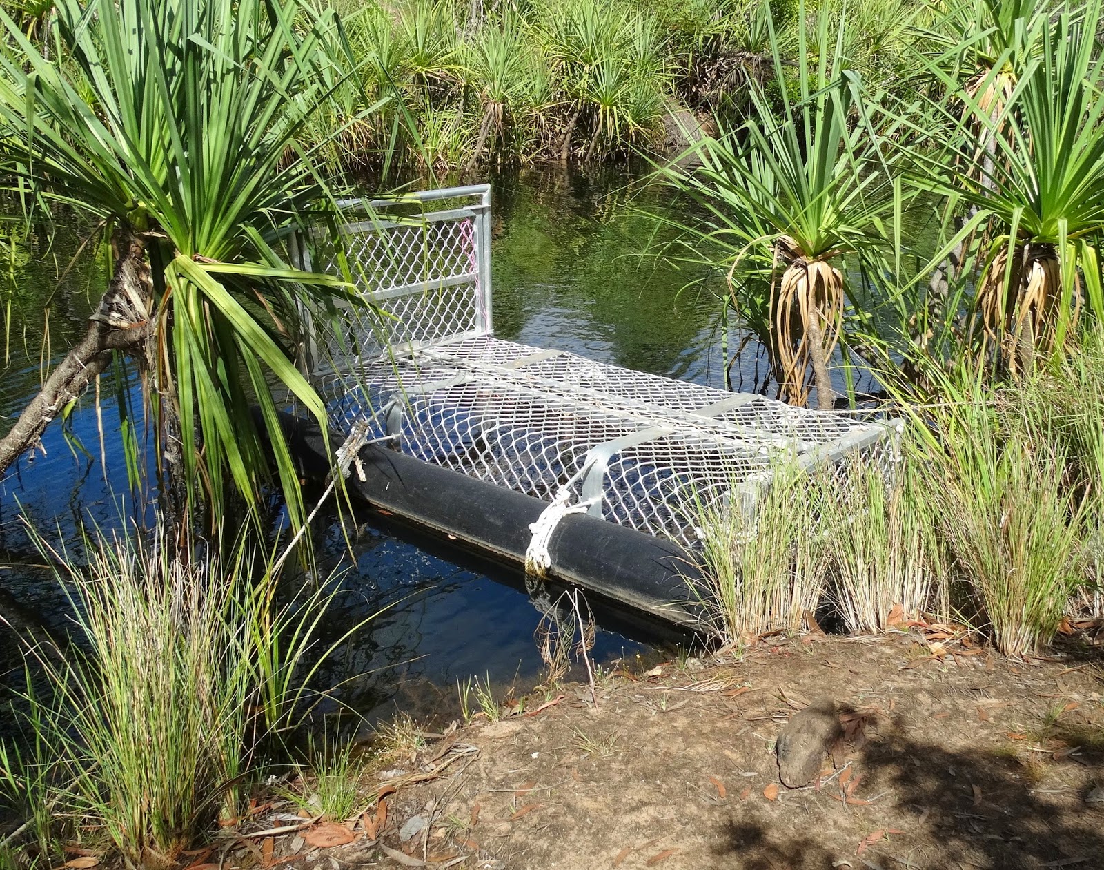 sunshinecoastbirds: Around Oz Part 5 - Nitmiluk National Park:Katherine ...