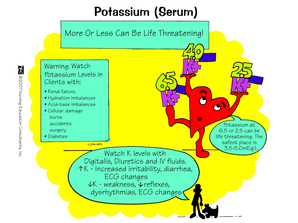 1000+ images about nursing lyfe on Pinterest | Medical Surgical Nursing ...