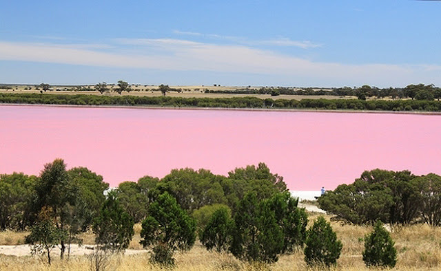 Foco Exato: Lagoa Rosa