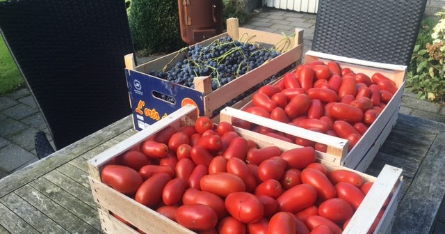HEX - passie voor zelfmaken: San Marzano tomaten en Nero Davalo druiven ...