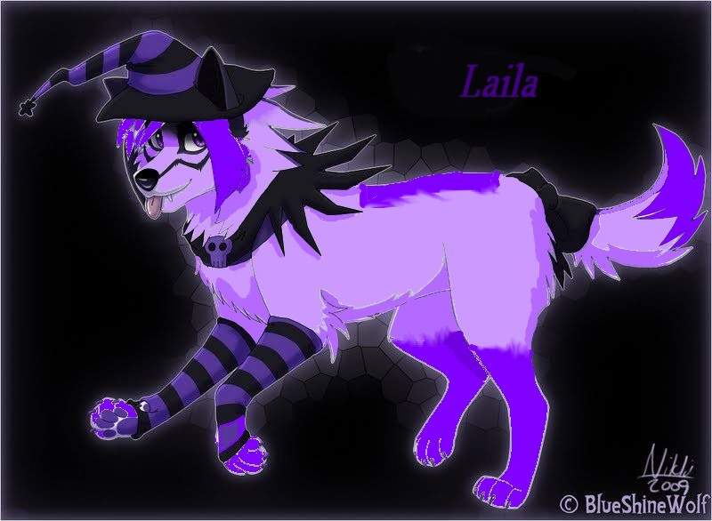 Laila Wolf: Fotinhos :D