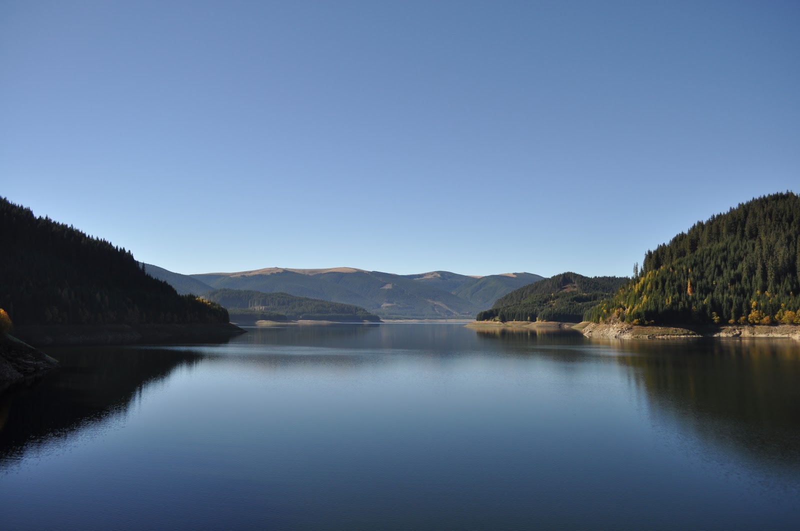 Poze, Natura, Animale, Plante, Romania, Valcea, Ionut Ungureanu