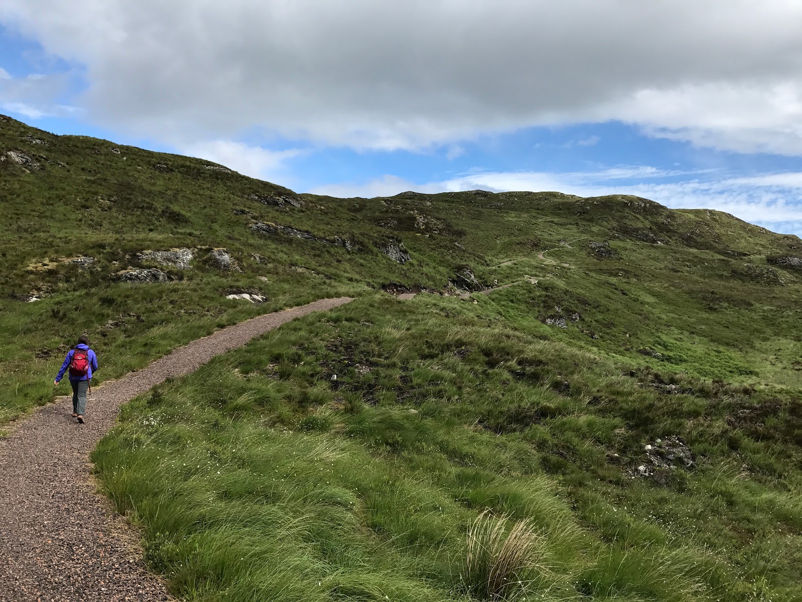 Share Your Steps | Heather Walk's The Great Glen Way | Celtic Trails Blog