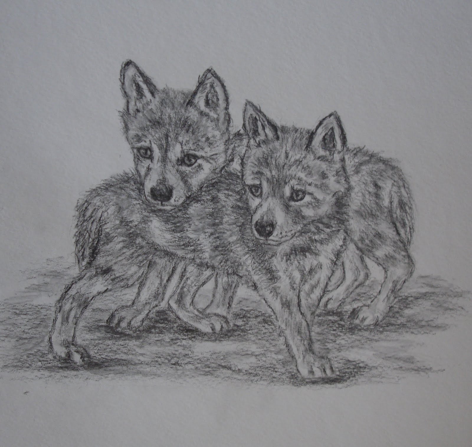 Sue Greco's Art: wolfpup duo
