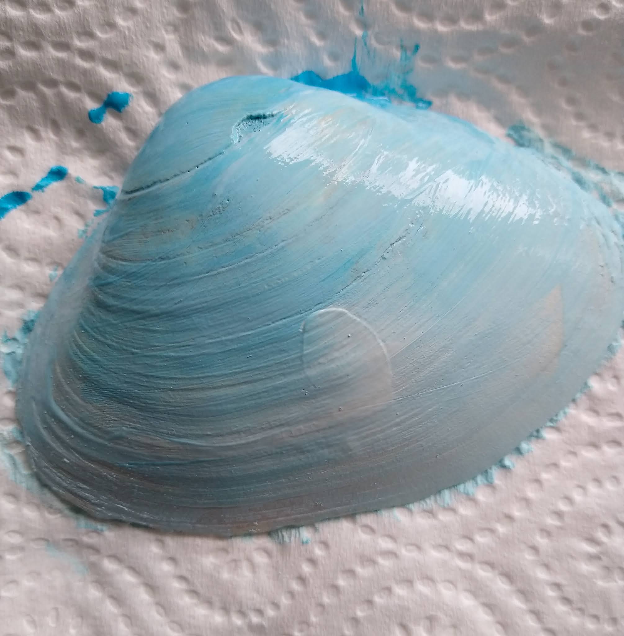 Seashell painting