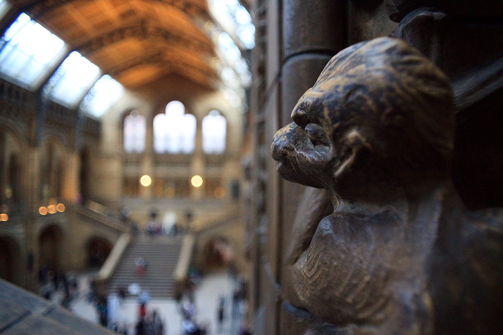 Media Studies: Codes: Reading a Text