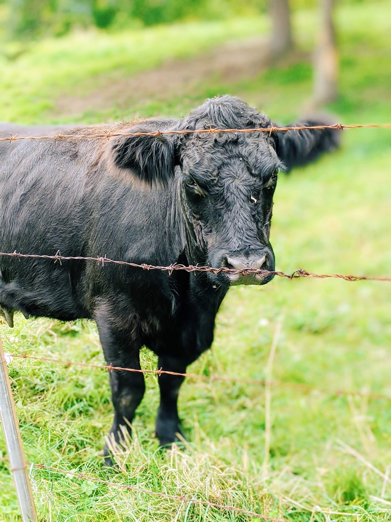 A Perfect Fall Weekend Photo Diary