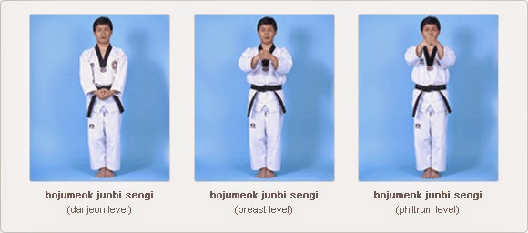 New Tae Kwon Do: Seogi (Kuda-kuda) dalam Taekwondo