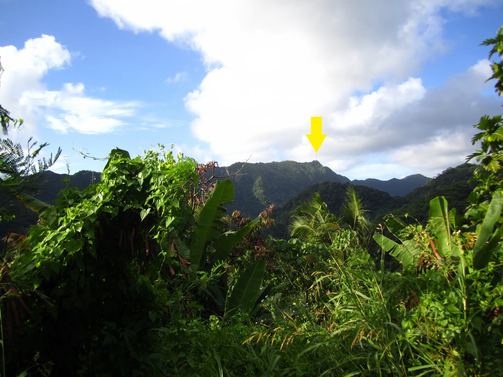 Quinn in American Samoa: Hiking to the top of American Samoa