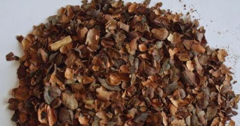 La cascarilla y el chocolate vuelven a la Coruña