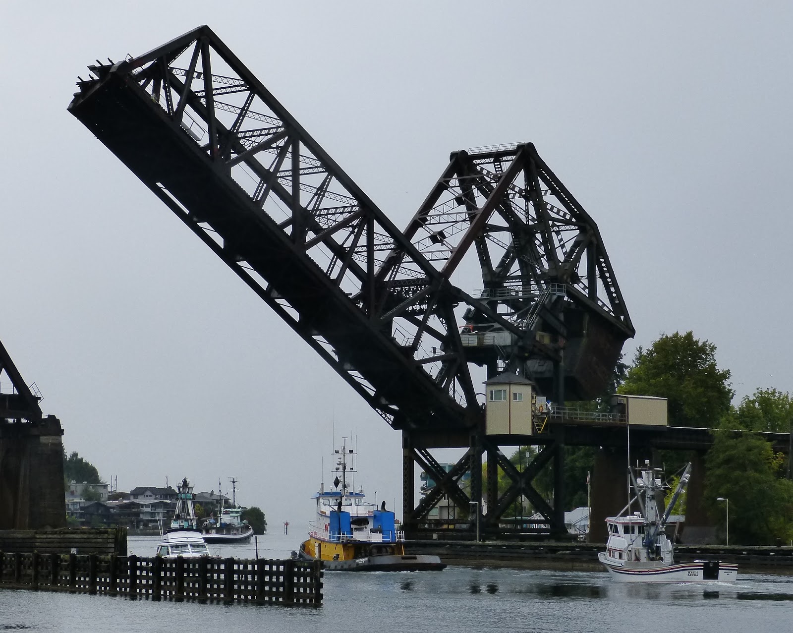 Ray's Retirement: Seattle - the fish ladder