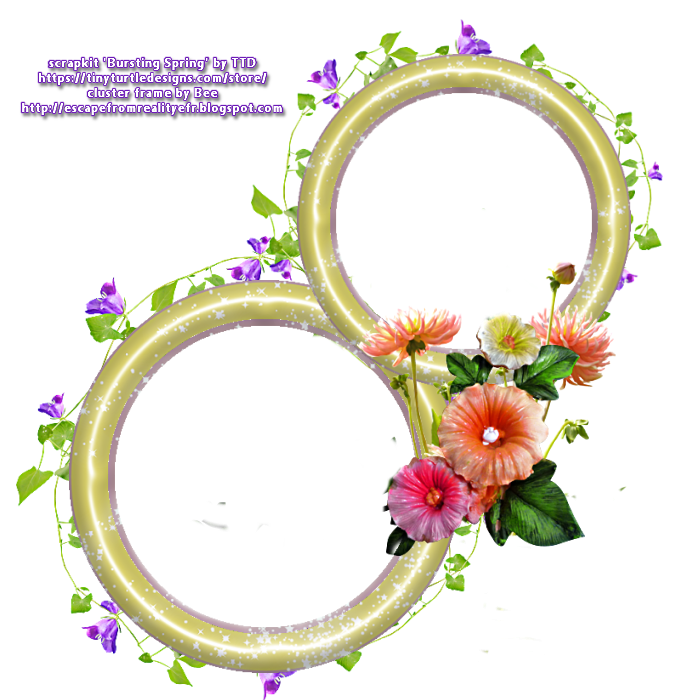 Escape From Reality Blog: FTU 'Bursting Spring' Cluster Frames TTD