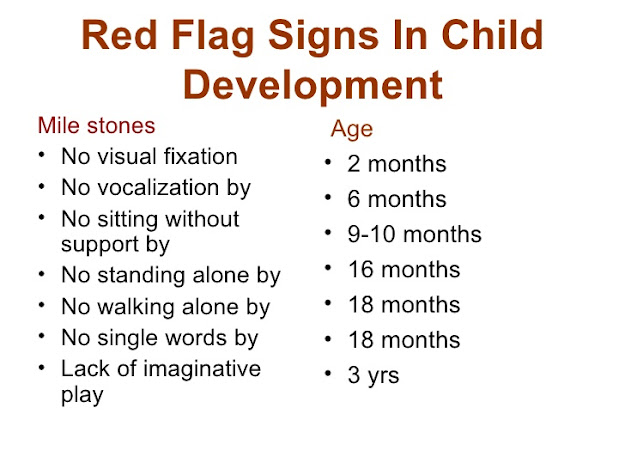 Developmental milestones & Red flag signs in child development