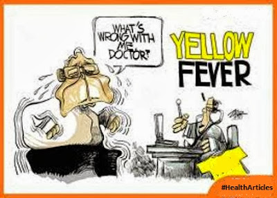 What is Yellow Fever, Causes and Treatment | Health Articles